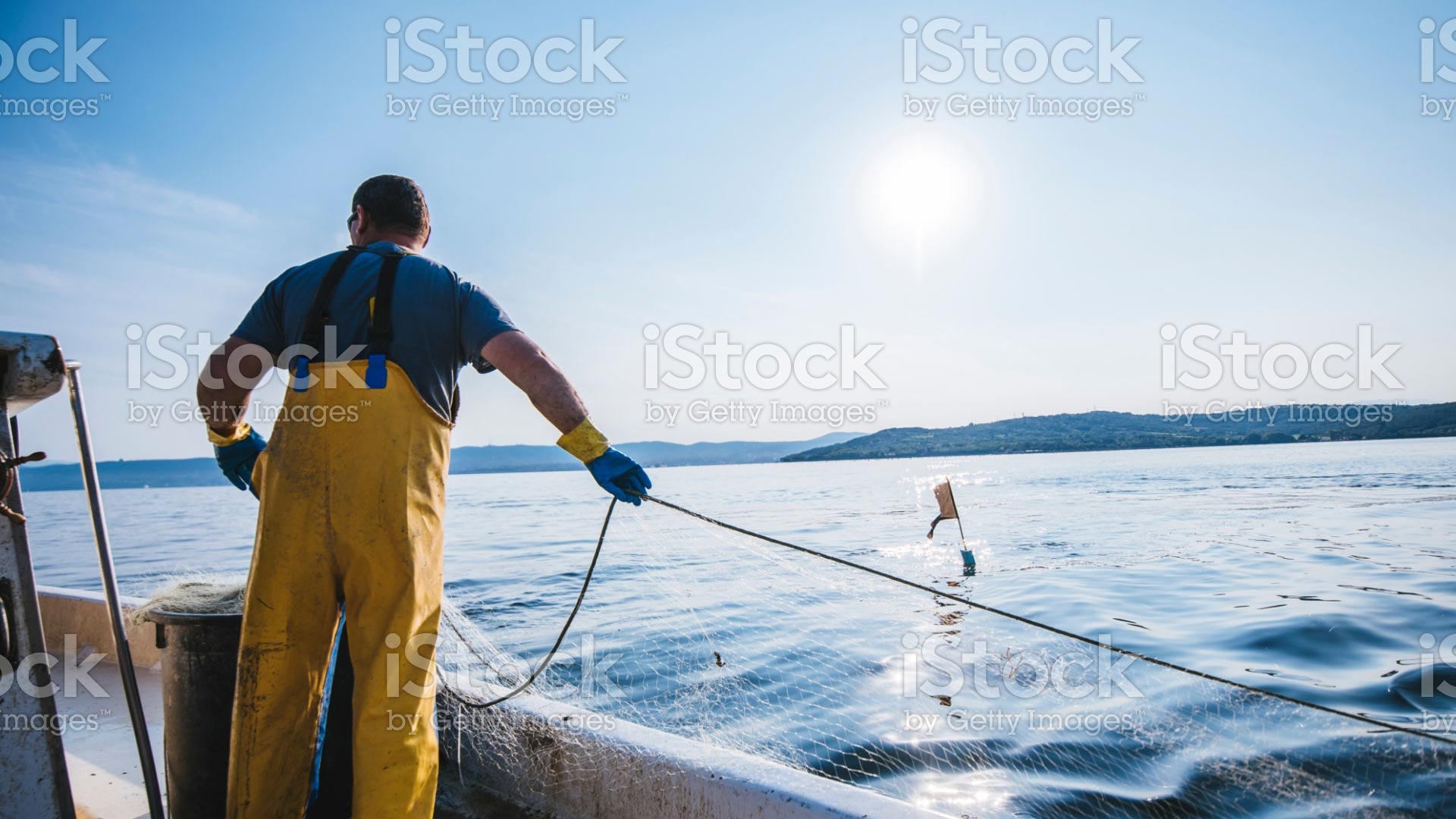 Cod Stocks On the Rise? - 40 years of Development - XpressFish